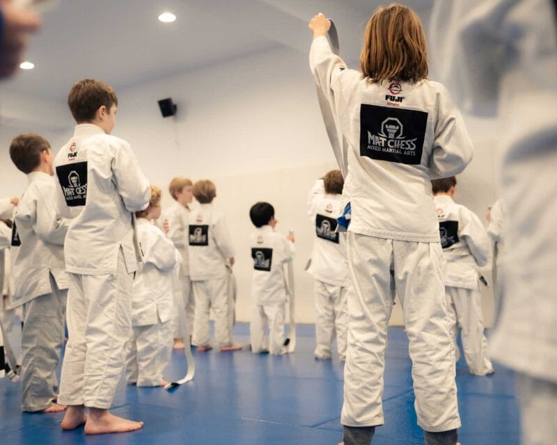 About | Mat Chess Mixed Martial Arts