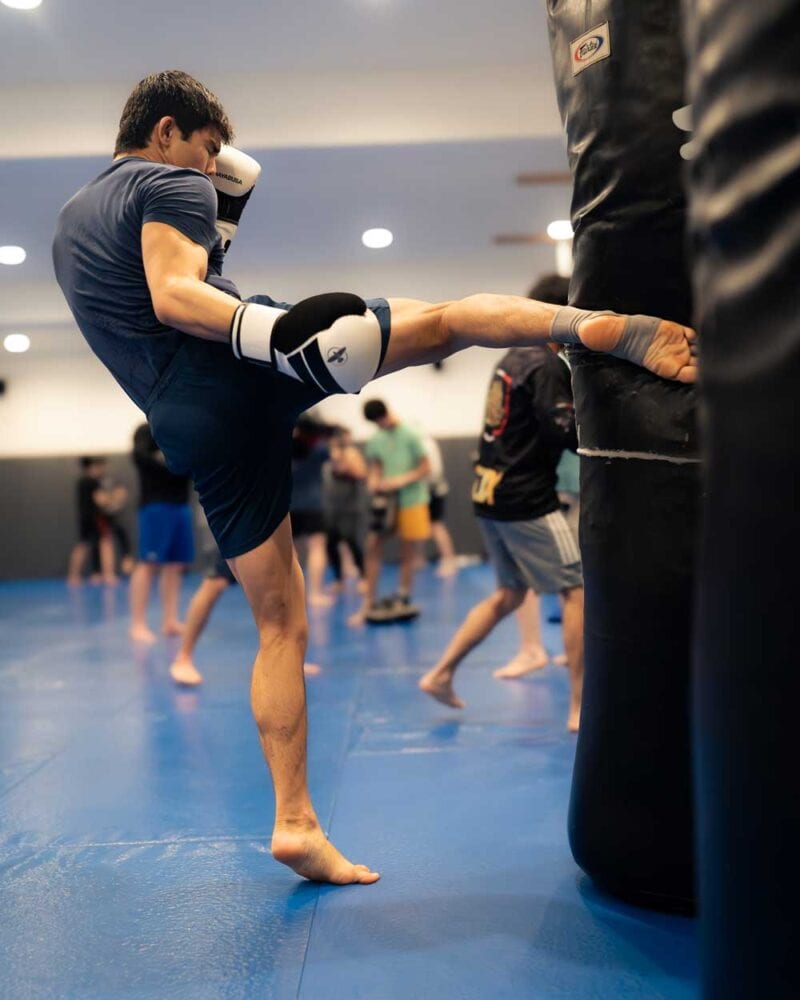 Mat Chess MMA Seattle WA | Jiu Jitsu, Muay Thai & Boxing Gym